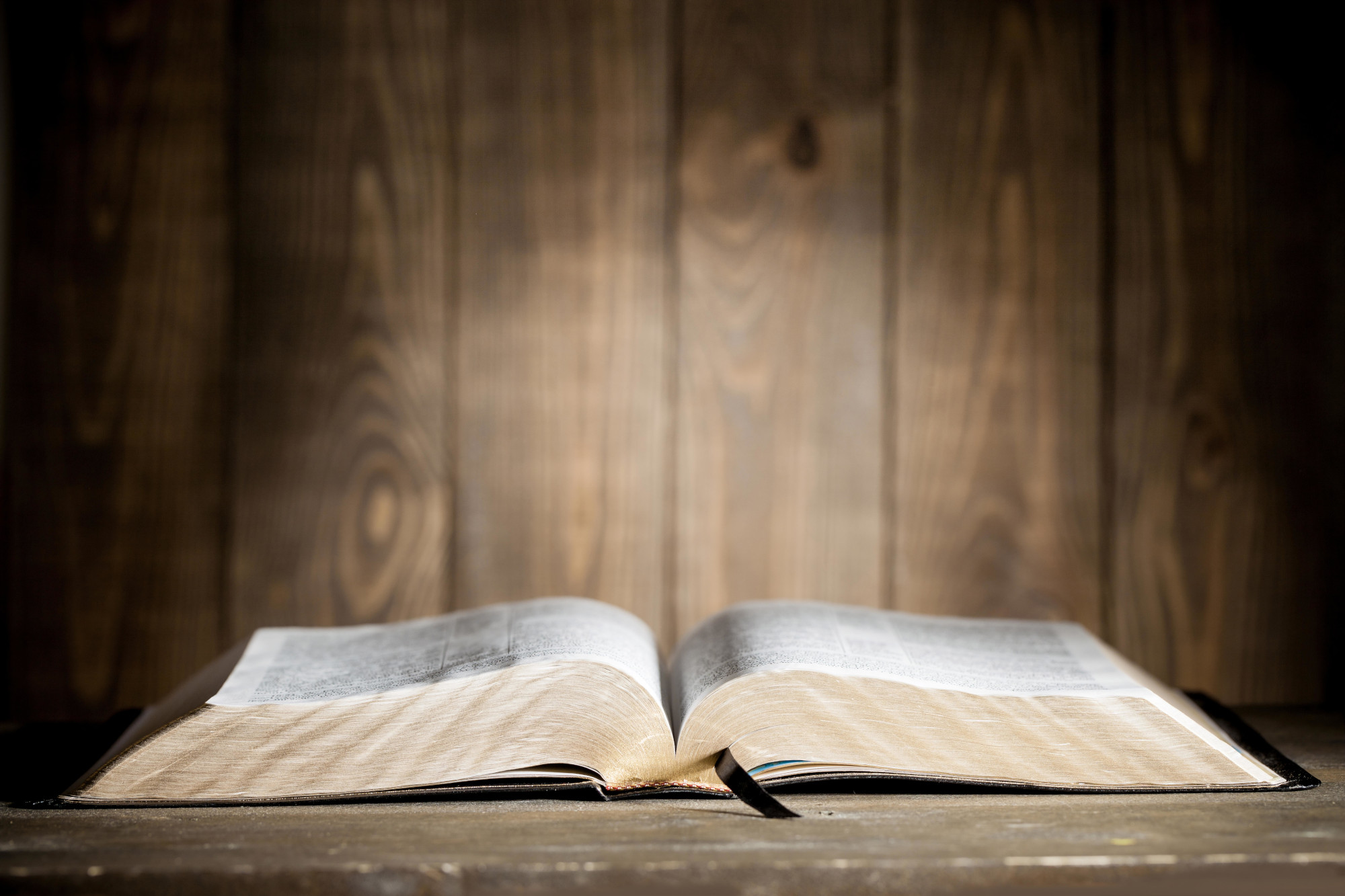 Offrir une bible – Fondation Sainte-Irmine